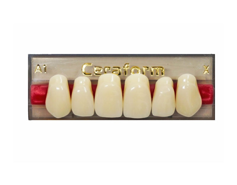 Ceraform Porcelain Anterior Teeth – Ceragroup Industries